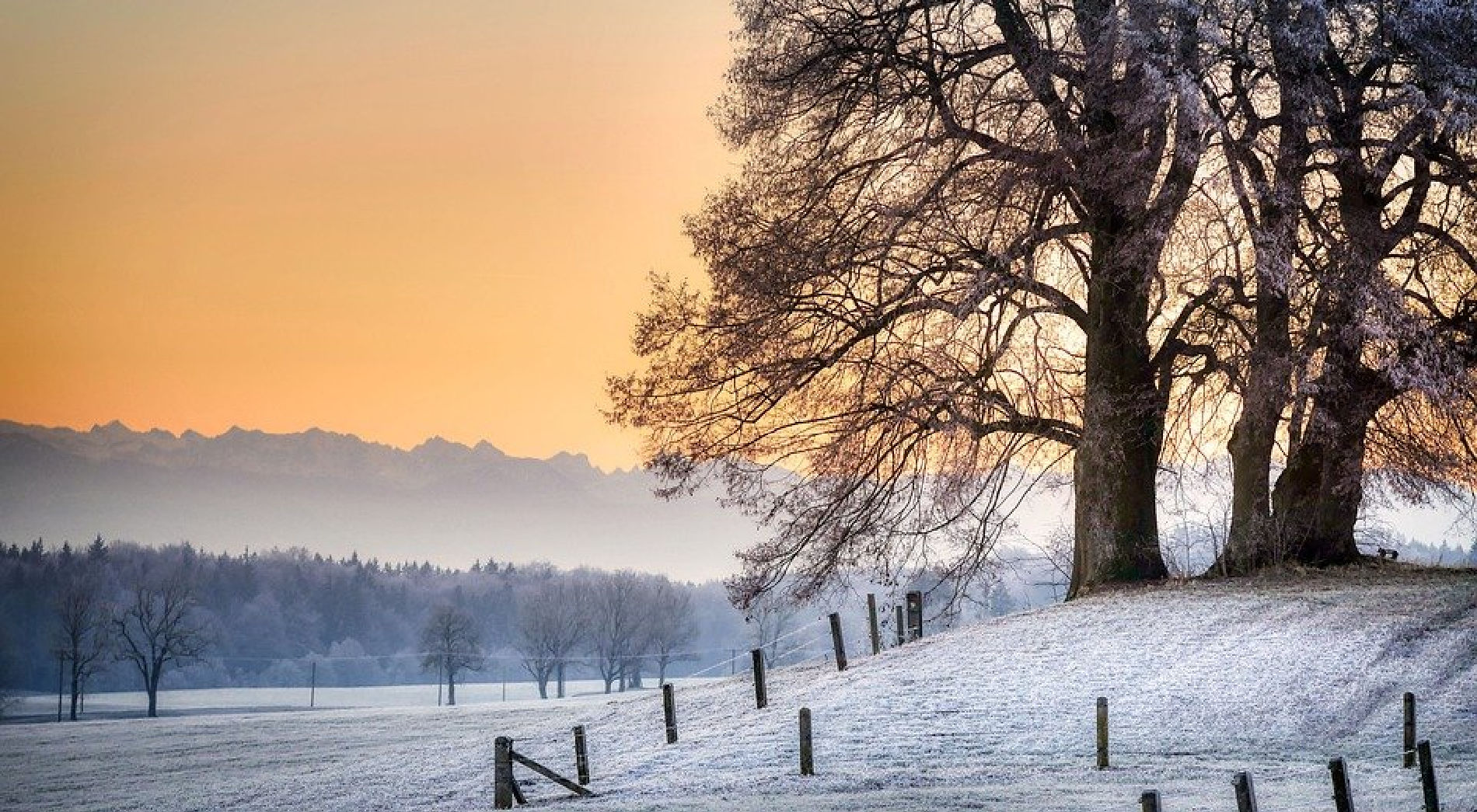 Day Bros RV Sales Center - Pre-Owned RVs, Financing, Parts and Service ...